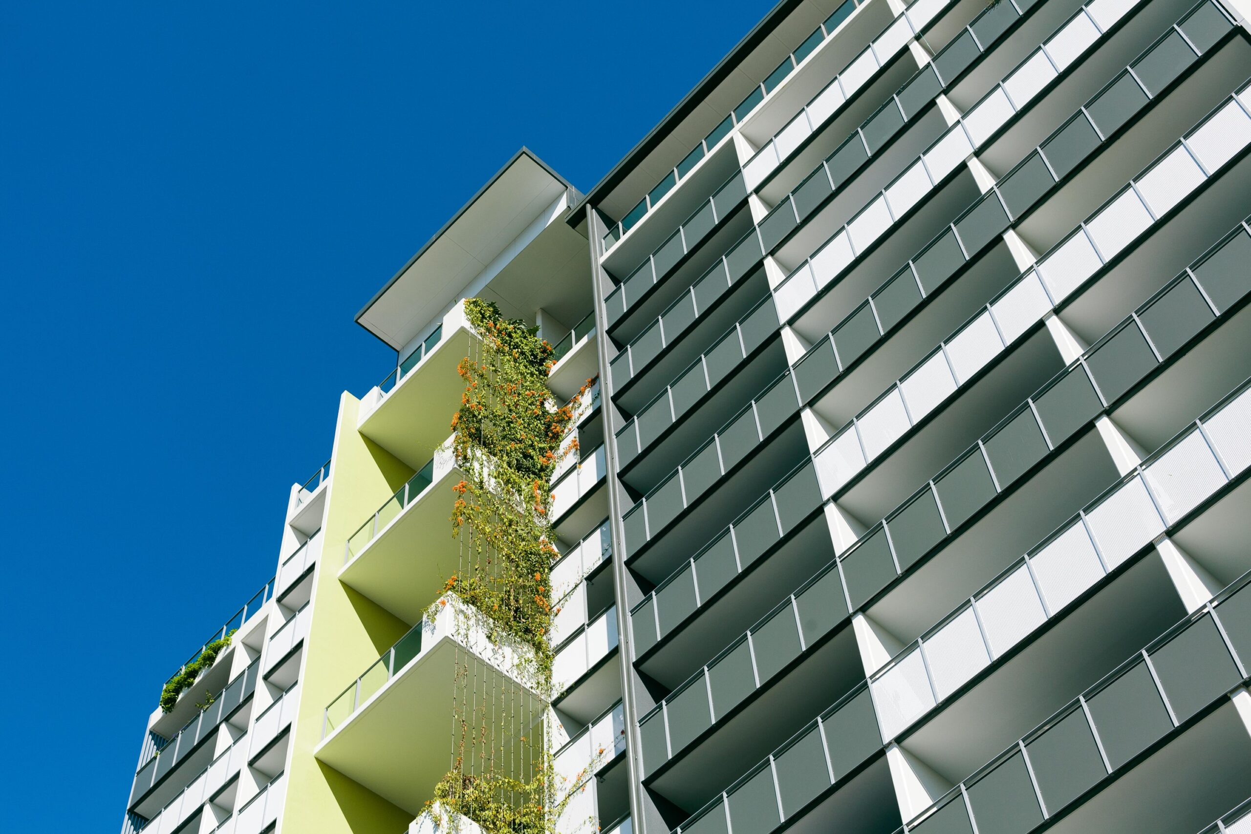 Tenant Compliments, Complaints, Appeals and Feedback Procedure - Common ...